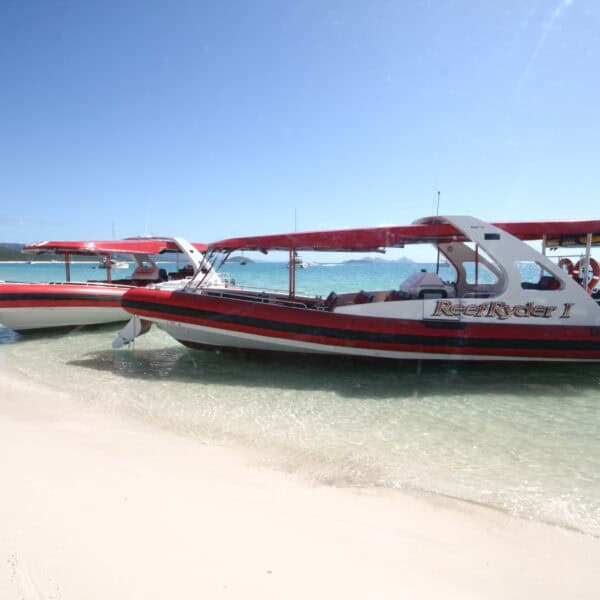 Reef Ryder - Hamilton Island Watersports