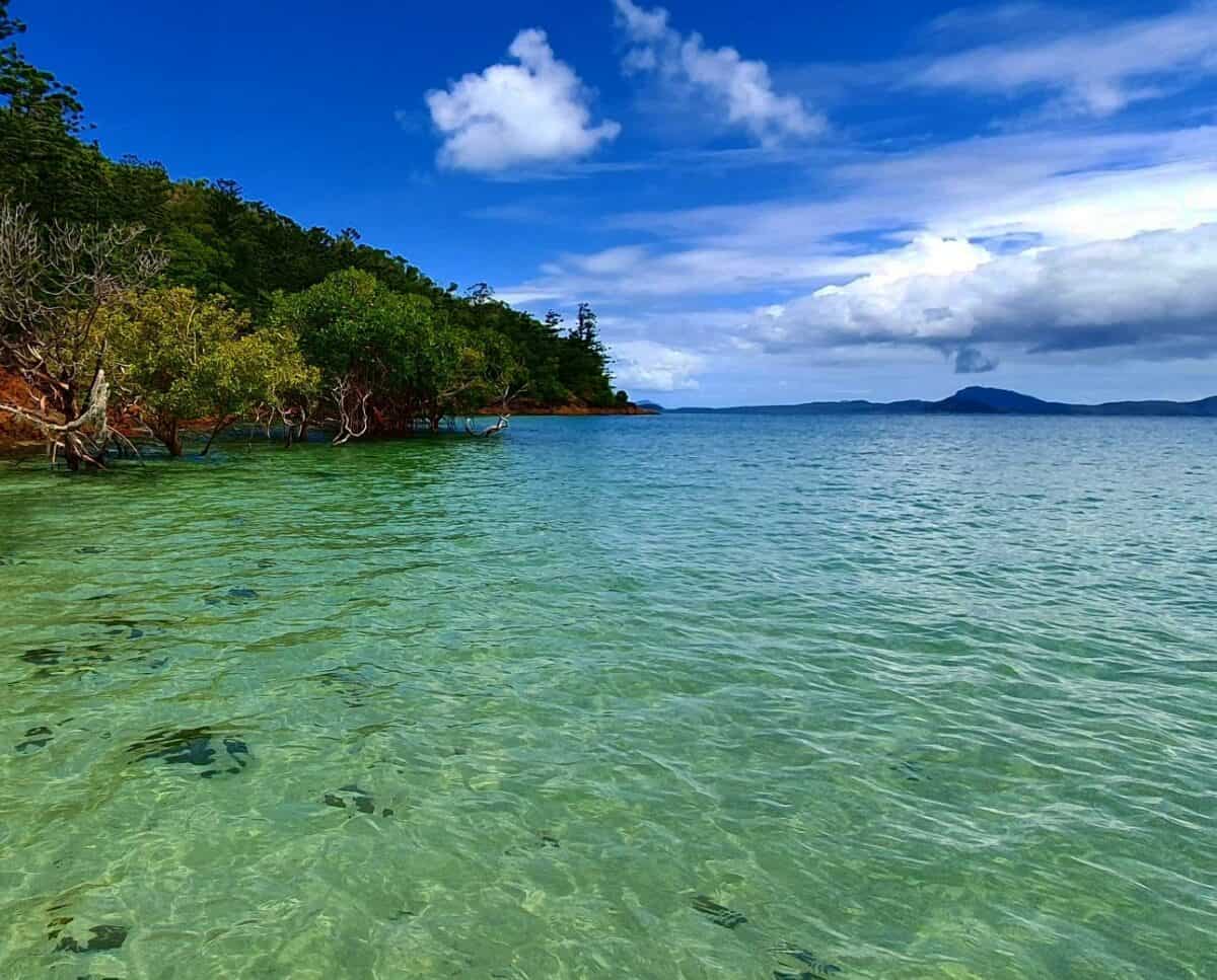Gallery - Hamilton Island Watersports
